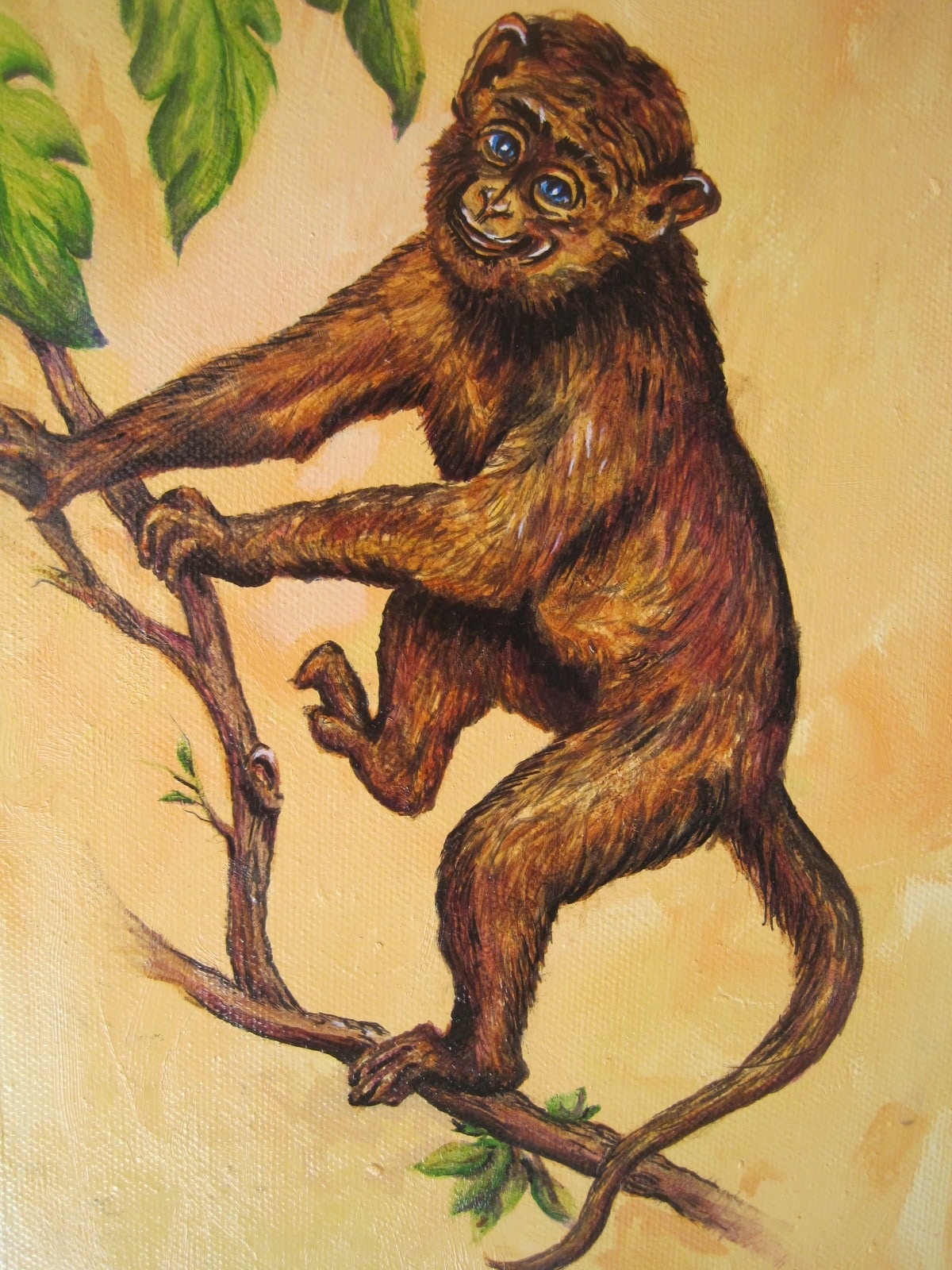 Fire Monkey Awakens Curiosity & Creativity - Qigong for Life